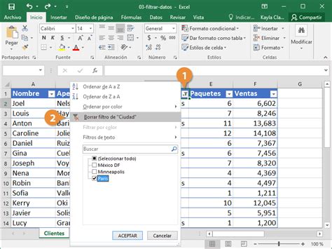 Filtrar Datos CustomGuide