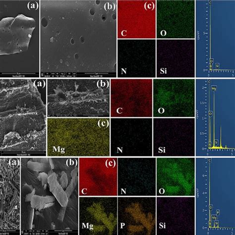 Sem Eds Characterization Of B A Mgb B And Mgb A C Download Scientific Diagram