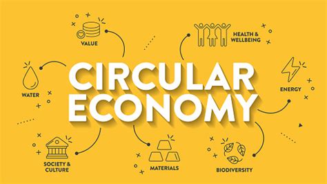 순환 경제의 7 기둥 인포 그래픽 다이어그램 프리젠 테이션 배너 템플릿에는 가치 물 사회 문화 재료 생물 다양성 에너지 건강 웰빙이 있습니다 생태 및 환경 개념 순환 경제에