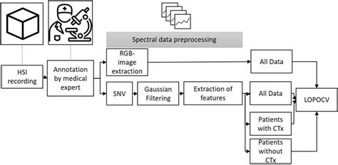 Schematic Description Of The Data Preprocessing Hsi Hyperspectral Download Scientific Diagram