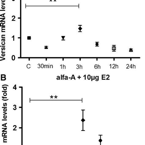 versican mrna expression shows significant increase from 3 h onward