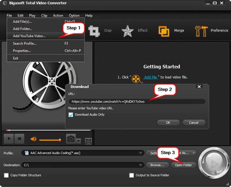 Youtube To Aac Downloader Bigasoft