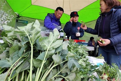 거제 맹종 대나무 축제 개막 및 춘천 강원 산나물 한마당축제 개막 [팔도소식 축제]