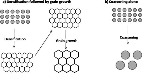 14 Pictorial Presentation Of Densification Grain Growth And Coarsening Download Scientific