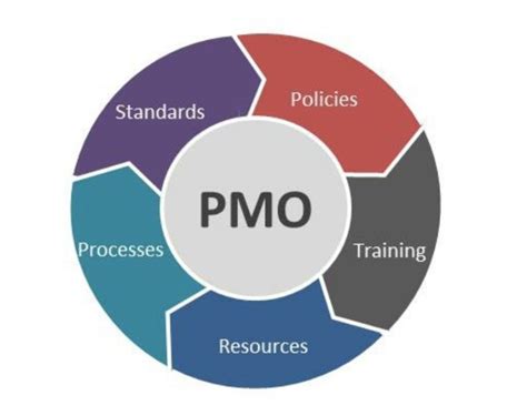 Pmo Roles And Responsibilities