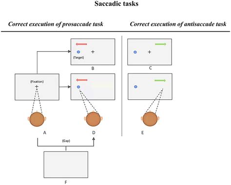 Various Conditions Of The Prosaccade And Antisaccade Tasks Adapted Download Scientific Diagram