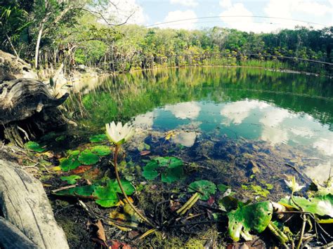 Las Mojarras El Cenote Más Grande En Puerto Morelos Escapadas Por