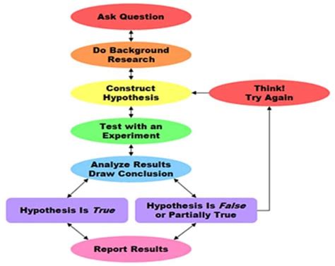 Hypothetico Deductive Method In Business Research Hubpages