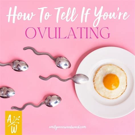 Freebie How To Tell If You Re Ovulating