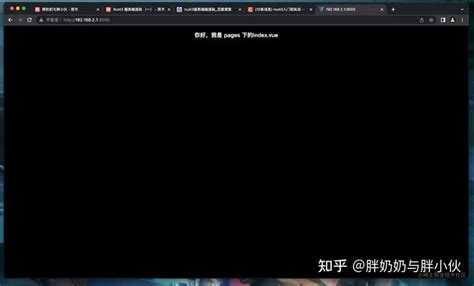 1了解及如何创建Nuxt3项目 知乎