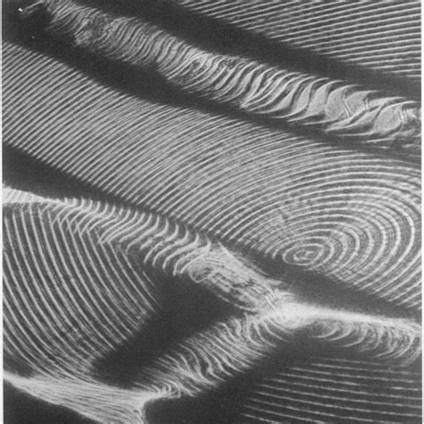 In Wave Fields Multi Laser Interference Pattern Transformed By Various