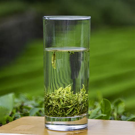恩施玉露 至简