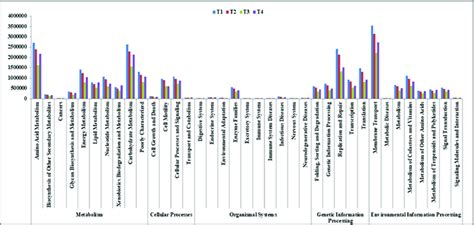 A Statistical Diagram Of Cog Functional Classification B Kegg