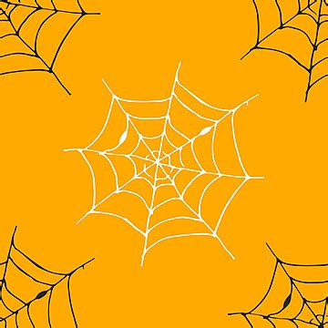 Spider Web Pattern Vector Art PNG Images Free Download On Pngtree