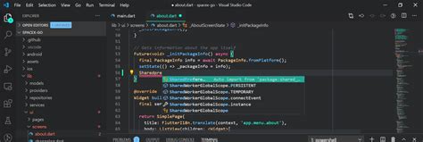 Suggestion Code Is Not Working Issue Flutter Flutter Github