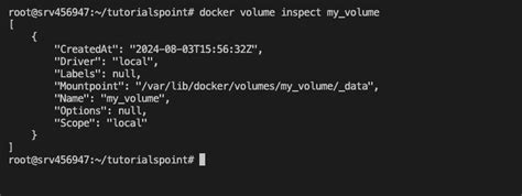 Docker Volumes