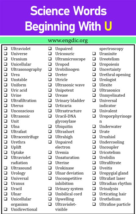 100 Science Words That Start With U Engdic