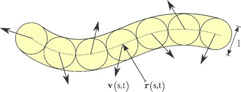 Model Of The Continuous Semiflexible Active Polymer Download Scientific Diagram