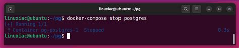 如何使用docker运行postgresql:一个循序渐进的指南 Howtotech 如何使用docker运行postgresql:一个循序渐进的指南 Howtotech