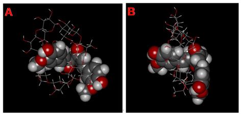 Schematic Structure Models Of A Molecular Inclusion Complex Consisting Download Scientific