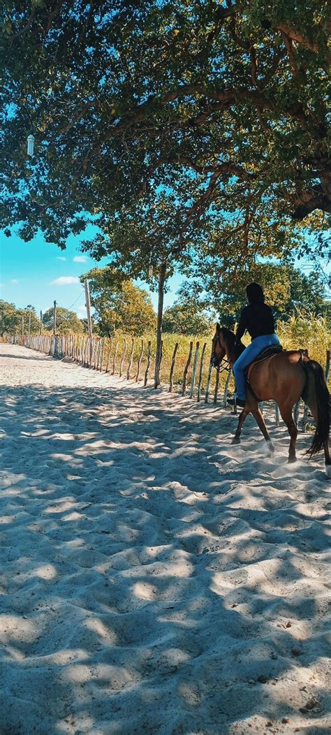 Pin De Leidy Hoyos Em Fotos Naturaleza Verano Fotos Tumblr Faceis