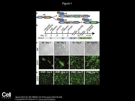 Volume 78 Issue 5 Pages June 2013 Ppt Download