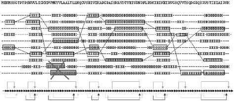Figure 1 From A Segment Alignment Approach To Protein Comparison Semantic Scholar