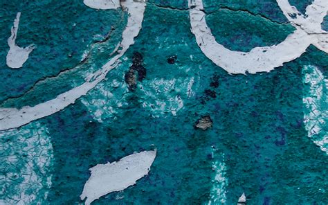 Sada Carnegie Endowment For International Peace