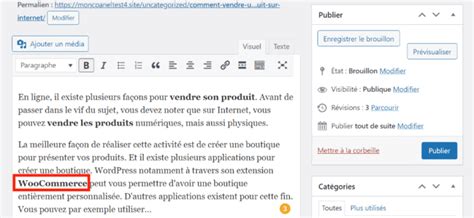Comment éditer du code HTML dans WordPress méthodes
