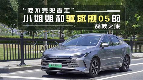 吃不完兜着走小姐姐和驱逐舰05的荔枝之旅 花边趣闻 国产 新能源 新浪新闻