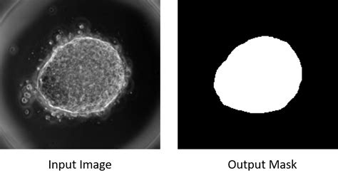 Cnn Semantic Segmentation Using Keras Loss Function And Mask Data Science Stack Exchange