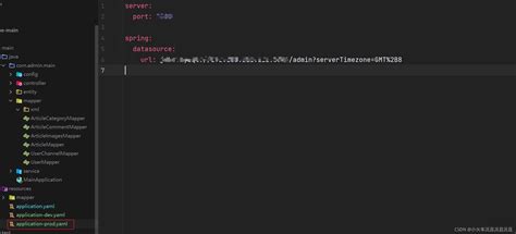 spring boot 打包的时候区分环境 application dev yaml csdn博客