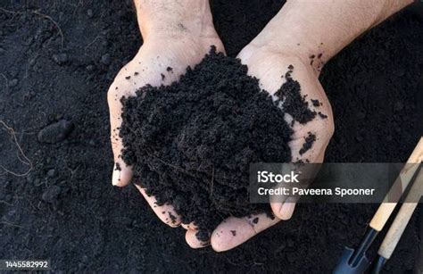 손으로 흙을 잡으십시오 심기에 적합한 비옥 한 양토 토양 토양 질감 배경 신선한 토양의 상위 뷰입니다 지구 오염의 개념 세계 토양의 날 개념에 대한 스톡 사진 및 기타