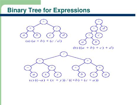 Ppt General Tree Concepts Binary Trees Powerpoint Presentation Free
