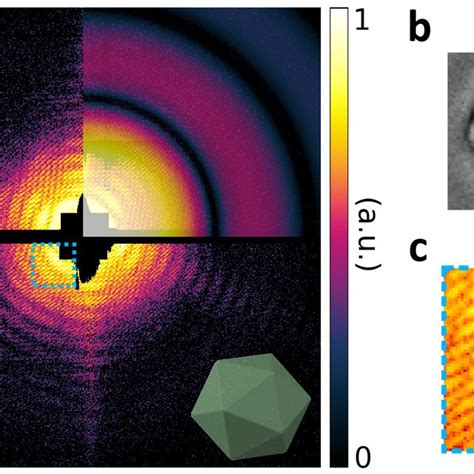 Pdf Femtosecond X Ray Fourier Holography Imaging Of Free Flying Nanoparticles