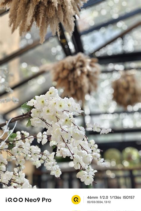 The Official IQOO Community IQOO Connect