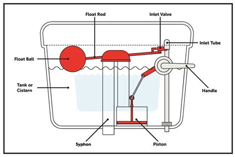 Understanding The Anatomy Of A Toilet Cistern A Diagram Guide
