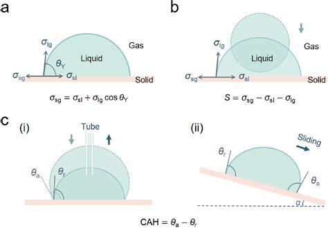 Figure 1 From Open And Closed Microfluidics For Biosensing Semantic Scholar