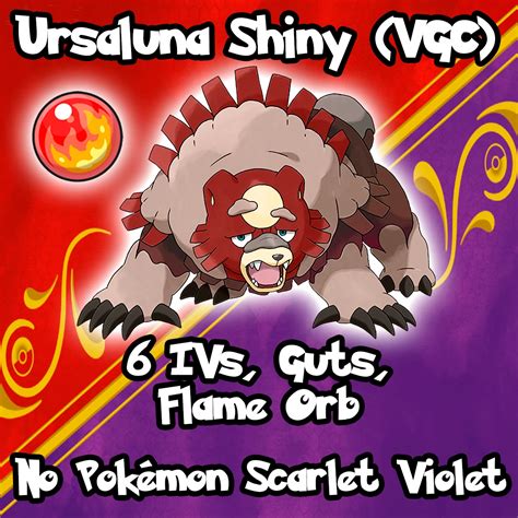 Ursaluna Shiny Vgc P Scarlet Violet Guts Flame Orb 6ivs Outros Dfg