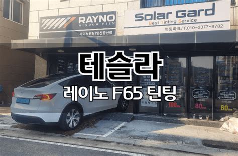 테슬라 모델y 틴팅 시인성 위주 후기 Ft 레이노 F65 가격 인포팁스