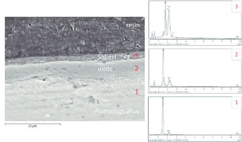 Cross Sectional Sem Micrograph Of An Anodized Ano Pre Treated