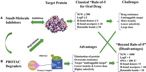 Strategies For The Discovery Of Oral Protac Degraders Aimed At Cancer Therapy Cell Reports