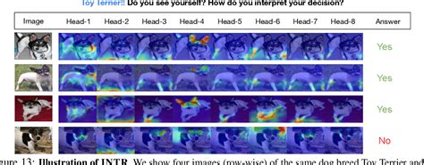 Figure 13 From A Simple Interpretable Transformer For Fine Grained Image Classification And