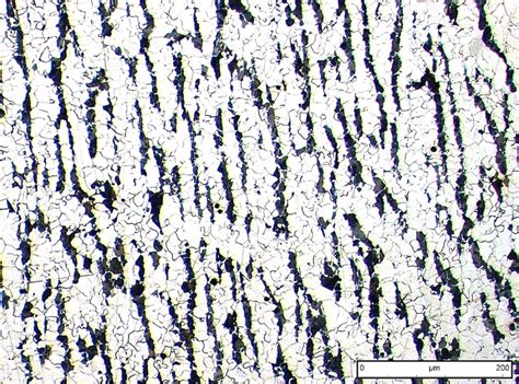 Microestructuras Con Perlita Y Ferrita