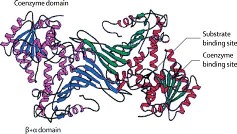 Glucose 6 Phosphate Structure