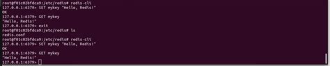 Using Docker Exec For Interactive Shell Access