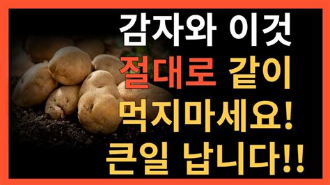 감자와 이것 절대로 같이먹지마세요 정말 위험합니다 Youtube