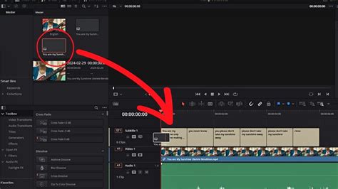 How To Add Multiple Subtitles In DaVinci Resolve