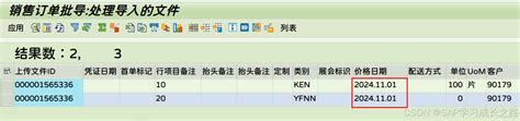So Bapi 批量创建错误修复：error In Vbapkom 000010 Csdn博客
