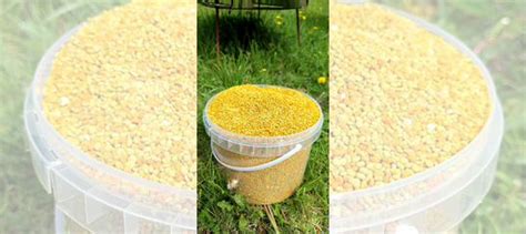 Пыльца пчелиная свежая 2023 год купить в Москве Товары для дома и